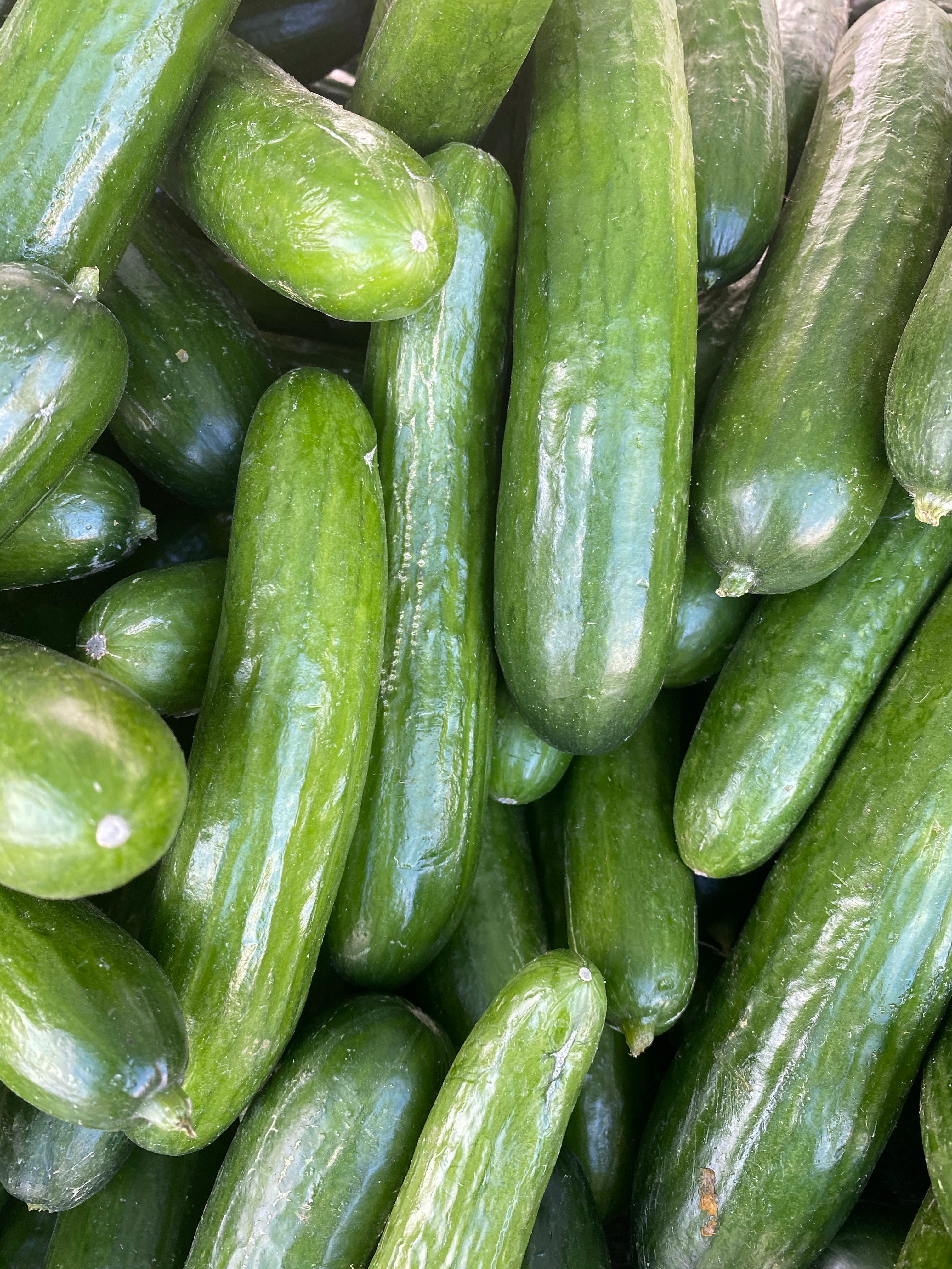Persian Cucumbers from Beylik Farms | Avocado Toast