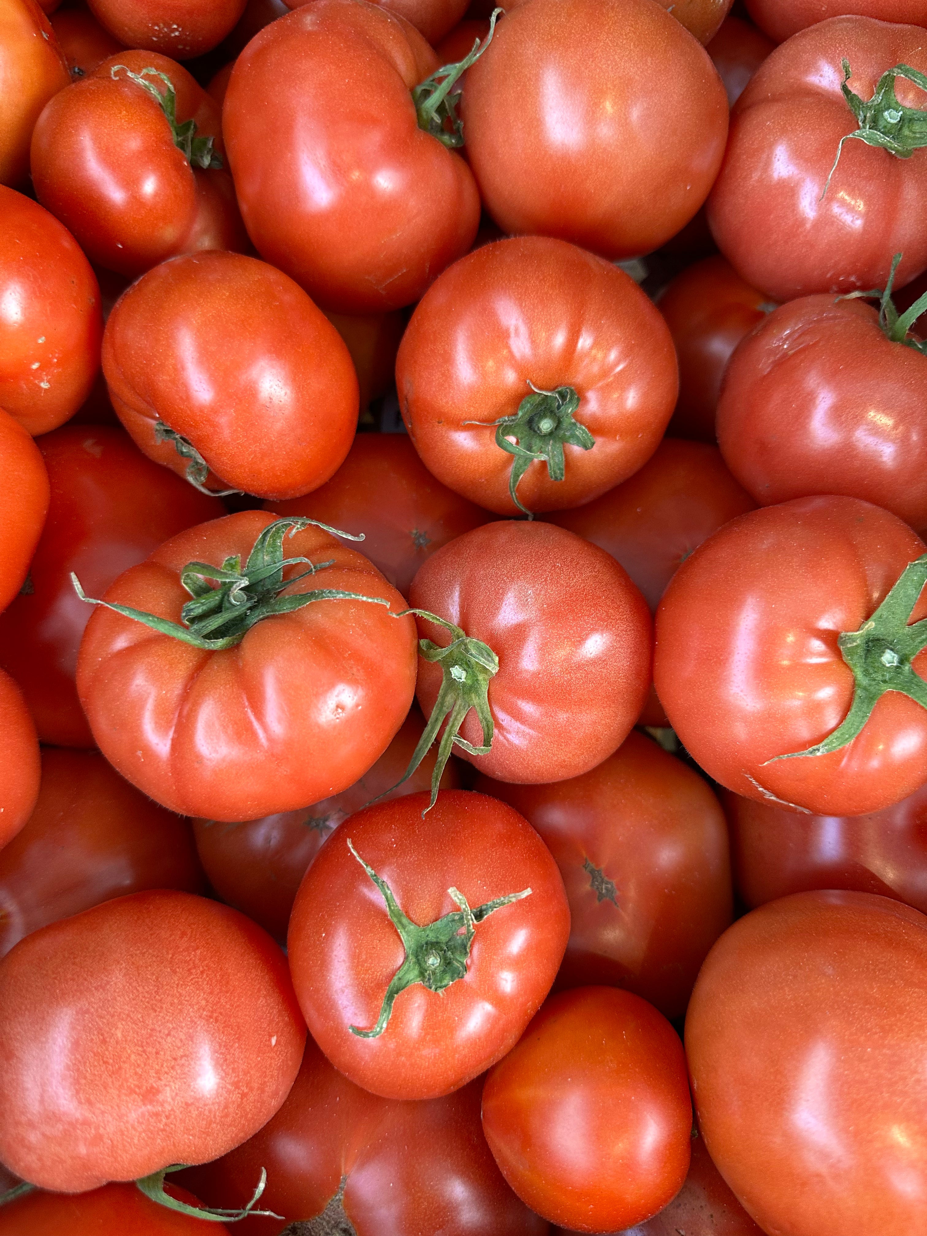 Beefsteak Tomatoes from Beylik Farms 2lbs | Avocado Toast