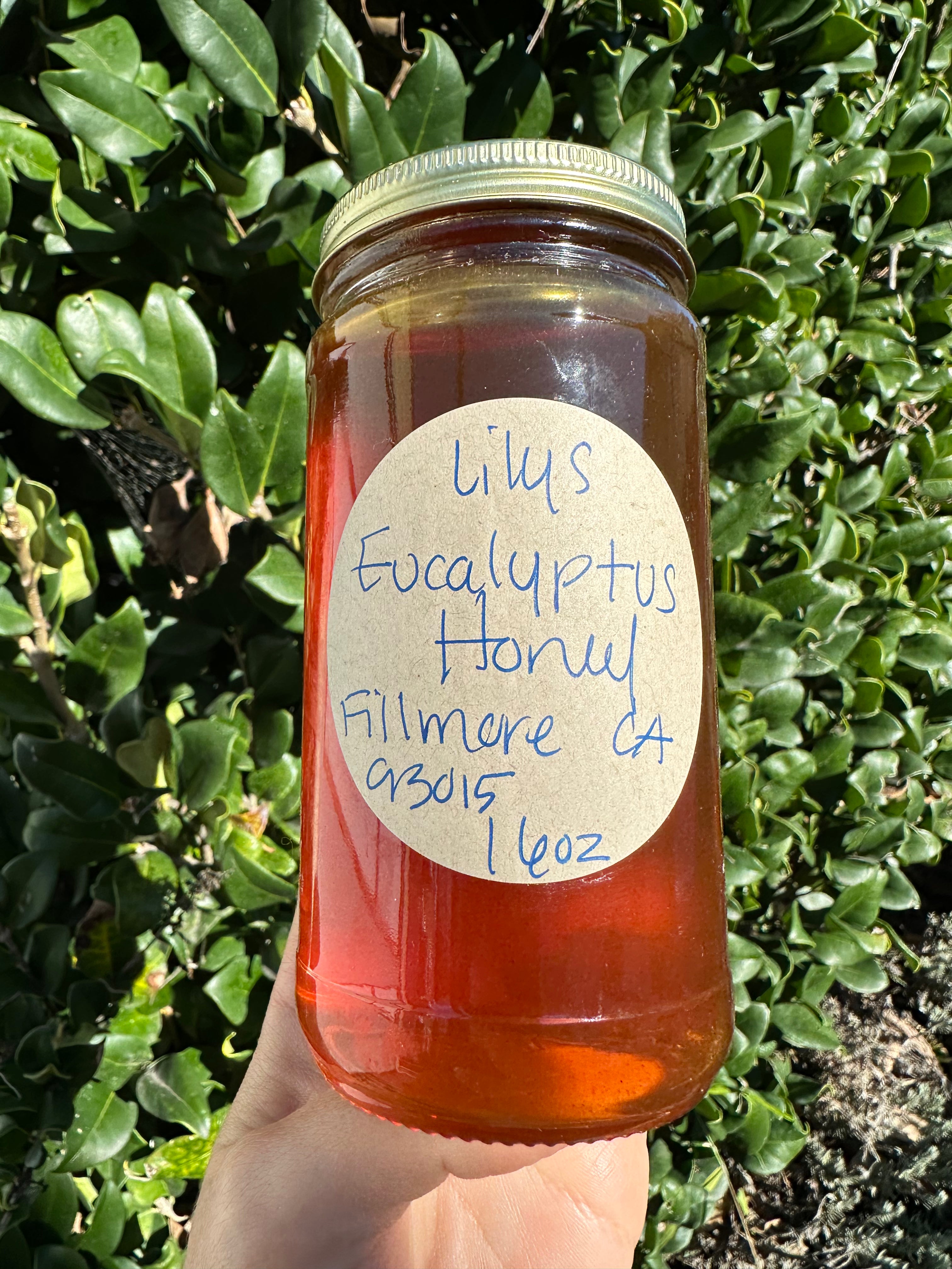 Eucalyptus Honey from Lily’s 16oz and 8oz | Avocado Toast